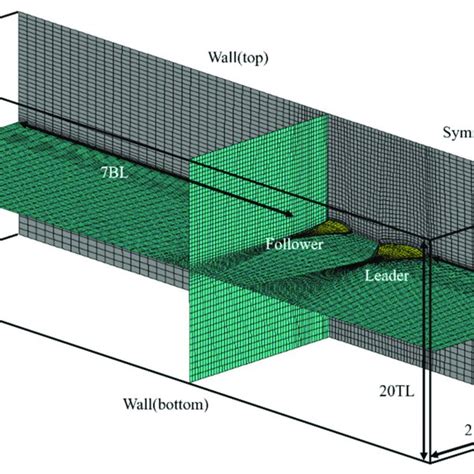 Computational Domain Size And Boundary Condition Settings Download