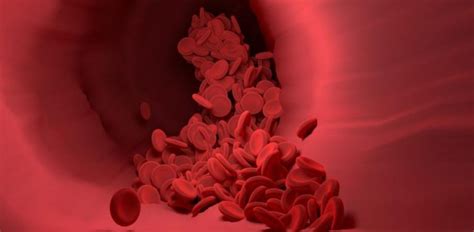 Eritrocite Crescute Ce Inseamna Si Care Sunt Cauzele Cancer