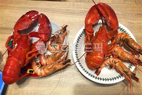 랍스터 가재 해물 해산물 새우 사진이미지일러스트캘리그라피 먹방작가