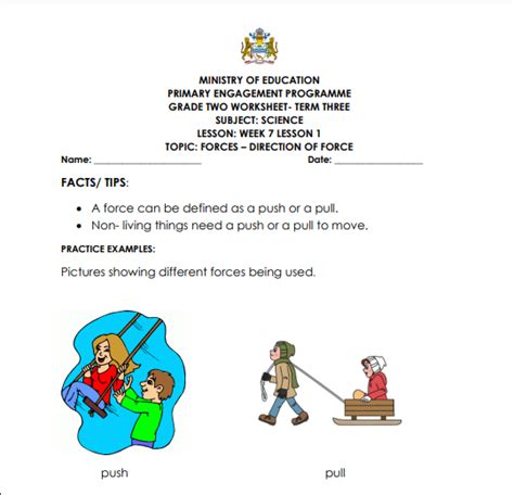 Grade 2 Worksheets Science Worksheets Library