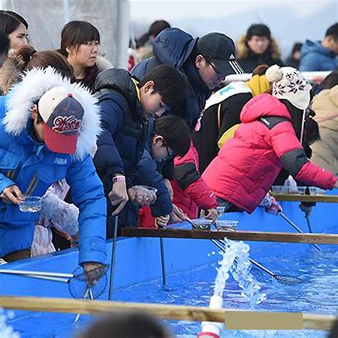 놀이기구임대전문업체 [주]명인플레이