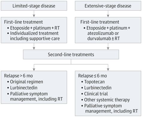 Jama Oncology权威综述：对决致命的小细胞肺癌，现代医学何时能够“道高一丈”？ 癌症研究专区 生物谷