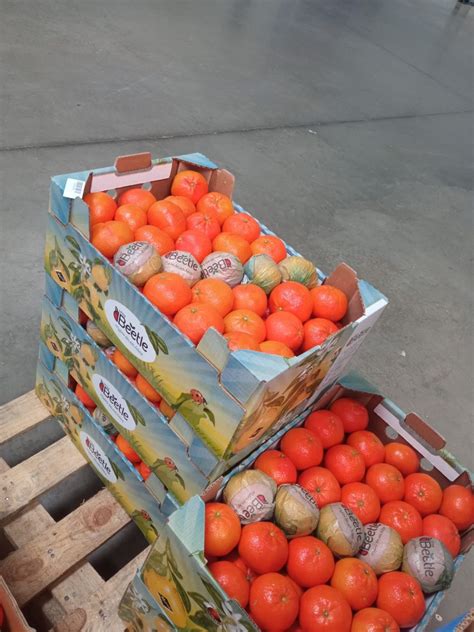 Khalid Bourass On Linkedin Europe Usa Asia Africa Nadorcott