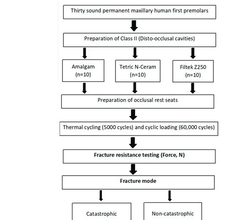 Study Design And Workflow Materials 2023 16 X FOR PEER REVIEW 4 Of 9 Download Scientific