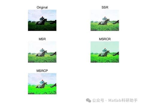 【图像增强】基于retinex实现图像增强，ssr msr msrcr msrcp附matlab代码 csdn博客