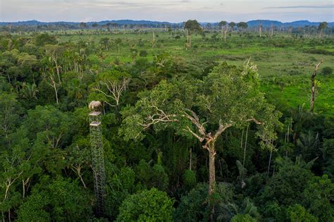 내셔널지오그래픽 6월 22일은 세계 열대우림의 날입니다 브라질 마투그로수의 두 목장 사이의 열대 Facebook