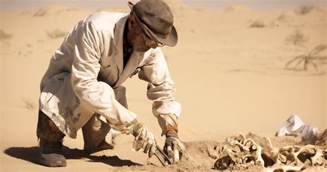 Discovering Australopithecus Key Fossil Finds And Their Significance •