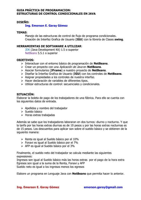 Guia Practica Funciones En Java Con Netbeans Pdf