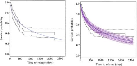 Bone Marrow Transplant Data Estimated Marginal Survival Function For Download Scientific