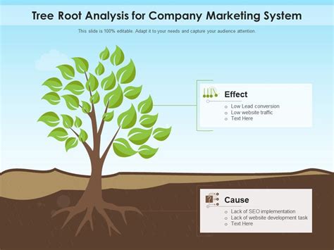Tree Root Analysis For Company Marketing System Presentation Graphics