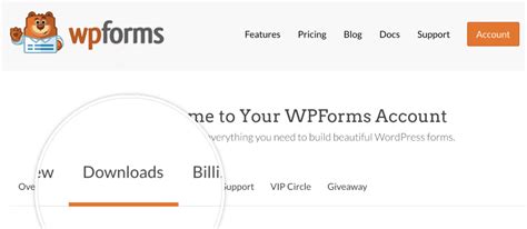 How To Install And Activate The WPForms Plugin
