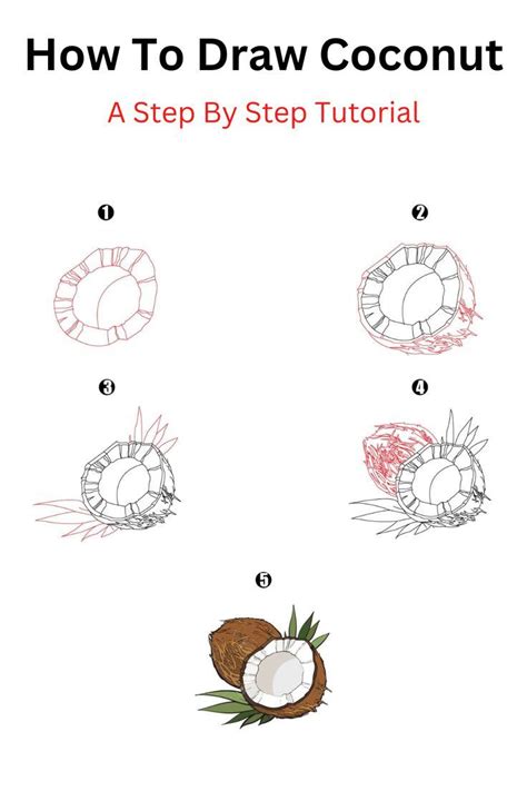 How To Draw Coconut Drawings Cool Drawings Coconut