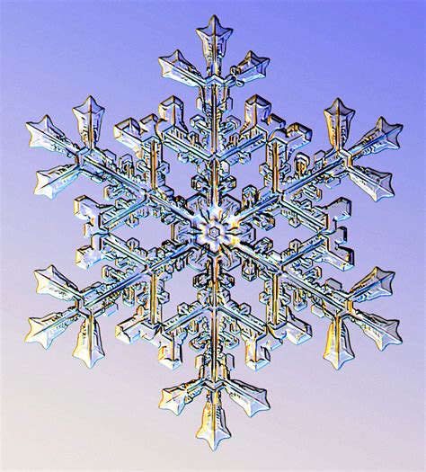 Snowflake Photographs SnowCrystals