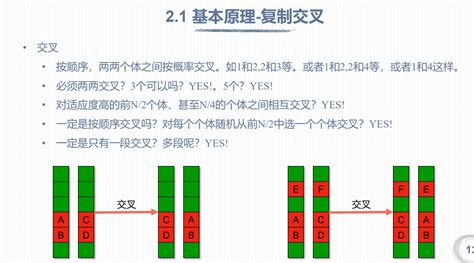 遗传算法原理与应用 Csdn博客