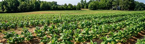 Durham County Ag Economic Development