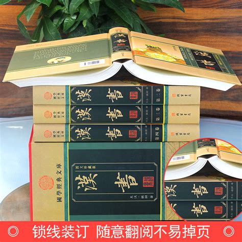 汉书文白对照原文 白话译文带插图又名前汉书中国历史图书全套 册全集精装 开中华线装书局原著正版畅销书籍 虎窝淘