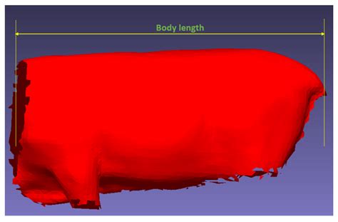 A Korean Cattle Weight Prediction Approach Using 3d Segmentation Based Feature Extraction And