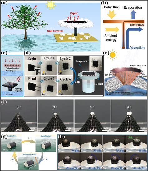A Schematic Image Of A Bioinspired Synthetic Tree And B Schematic Download Scientific