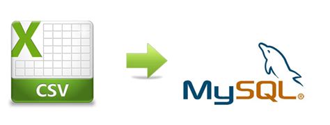 importar excel a mysql vídeo tutorial