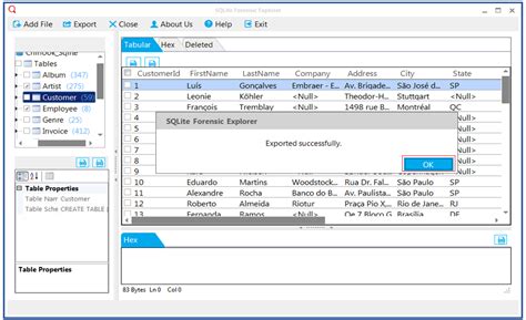 How To Tutorial Sqlite Forensic Explorer Software