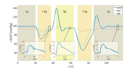 Transient Response Of Central Aortic Root Mean Arterial Pressure