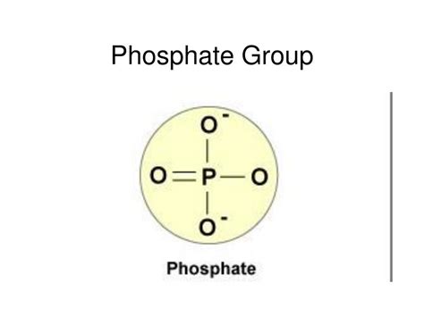 Phosphate Group