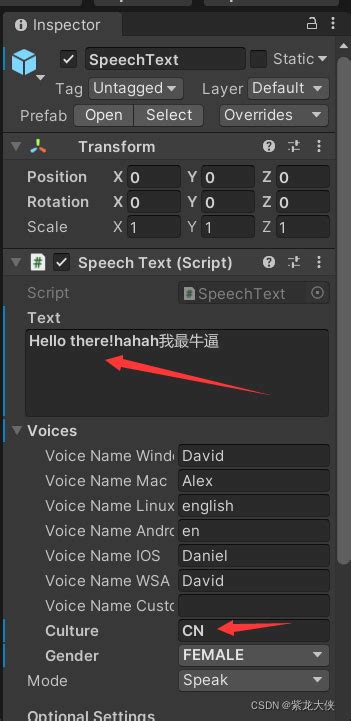 unity文字转语音插件（中文版）教程 unity 文字转语音 csdn博客