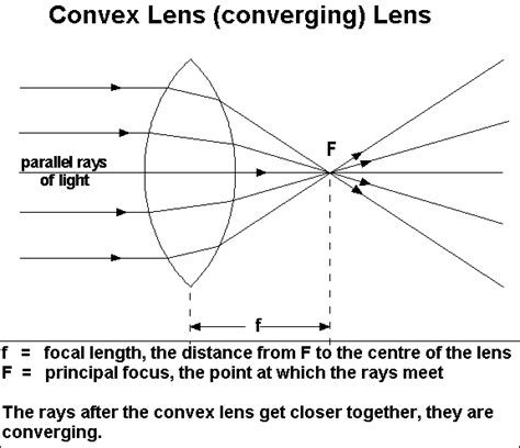 Which Diagram Best Represents A Convex Lens