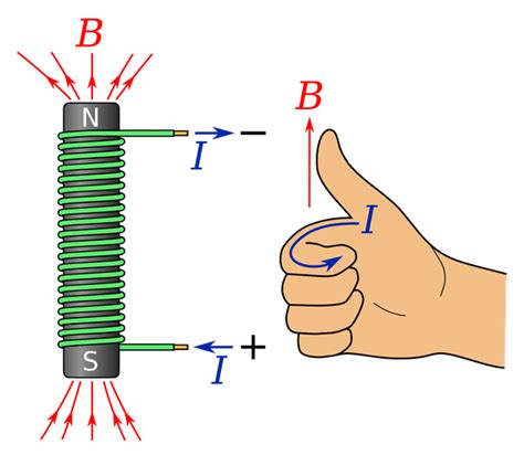 Why Does A Current Carrying Irregular Shaped Loop Made Of A Flexible