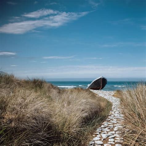 Chatgpt在线体验网站列表 永久免费使用、无需登录、无需注册 Chatgpt123