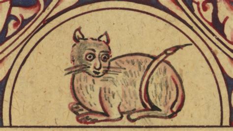 Paws On Parchment New Exhibition Highlights Cats In Medieval