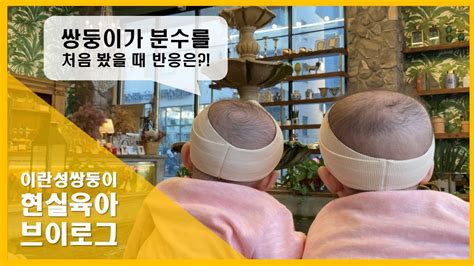 VLOG 생후 개월 이란성쌍둥이 육아브이로그 카페 놀러가다 YouTube
