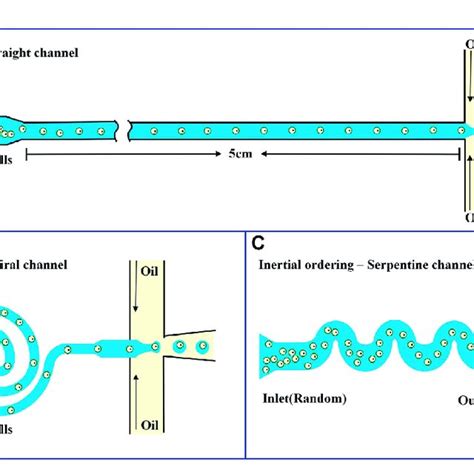 Microfluidics Based Systems For Single Cell Focusing And Encapsulation Download Scientific