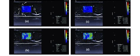 Wave Speeds And The Elastic Moduli In The Region Of Interest Circled Download Scientific