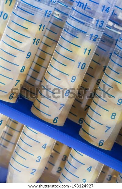 Image Science Lab Containers Stock Photo 193124927 Shutterstock