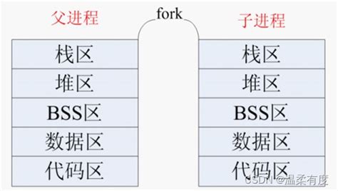 Fork函数与vfork函数fork Vfork Csdn博客