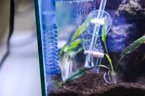 Premium Photo Co2 Aquarium Drop Checker For Monitoring Optimal Carbon