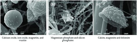 Minerals Identified In Atmospheric Particulate Matter A Oxides B