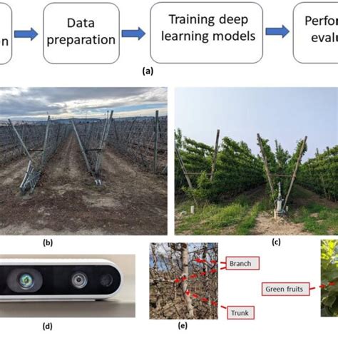 YOLOv Architecture From RangeKing S GitHub Repository Showcasing Its Download Scientific