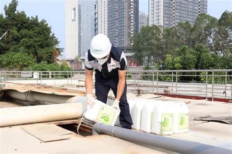 乳制品行业氨氮超标处理案例 长隆科技