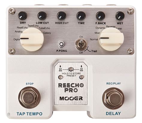 MOOER Reecho Pro Effet guitare