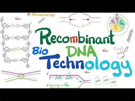 Free Video Recombinant Dna Technology Molecular Biology And