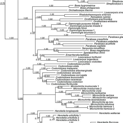 Bayesian Inference Tree With Average Branch Lengths Based On Combined Download Scientific