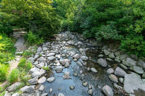 Trees In A Park Looking Below To The Stream Stock Photo Image Of