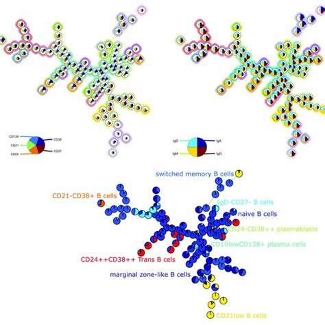 Top Left Flowsom Tree For The B Cell Subset Panel 2 With Expressed