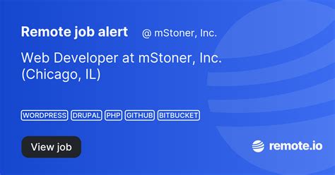 Web Developer Chicago Il