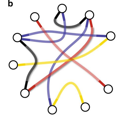 The Concept Of Edge Coloured Configuration Model A The Configuration Download Scientific