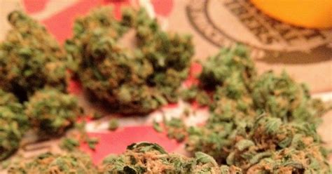 [ljava lang object 2412386