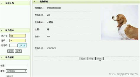 Php Mysql宠物社交网站kf15168宠物网页设计php Csdn博客