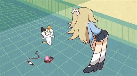 심즈캣 브레이크 댄스 밈 Youtube